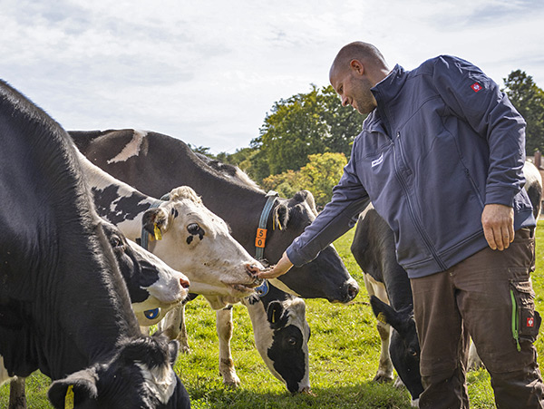 DMK Annual Report 2024 - DMK.de